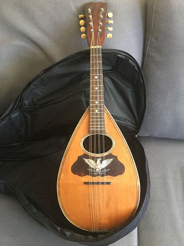 Stella Mandolin, Round Back, Vintage 1920-1940, with padded | Reverb