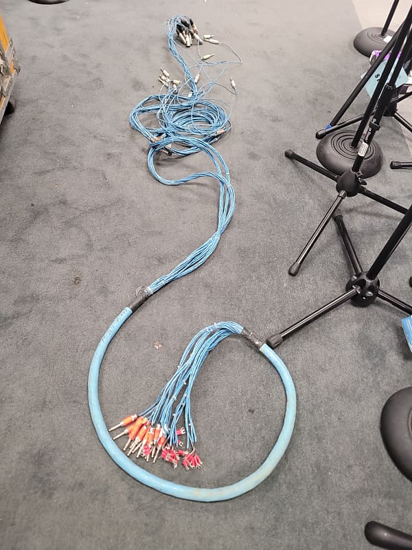 Unknown Studio Snake 6 Foot 24 Channel Blue | Reverb