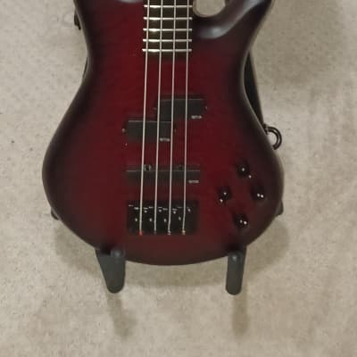 Spector NS 2000/4 Early 2000's Black Trans | Reverb