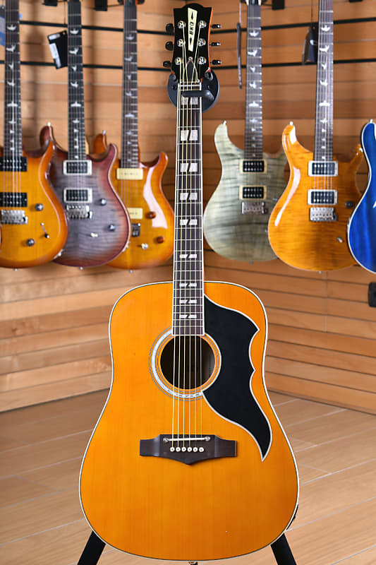 Eko Ranger VI VR Eq Natural Top Stained | Reverb