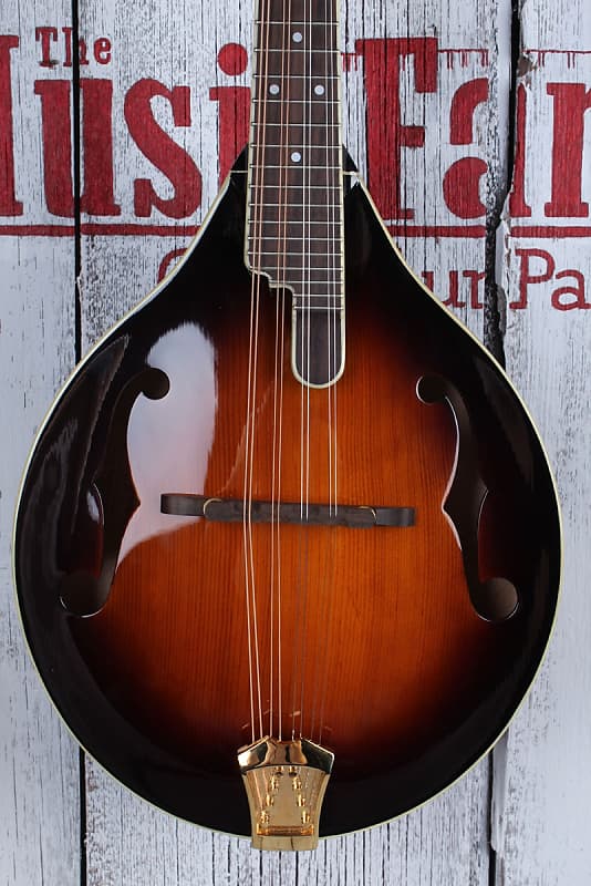 Washburn Limited Edition Timeless Collection A Style Mandolin | Reverb