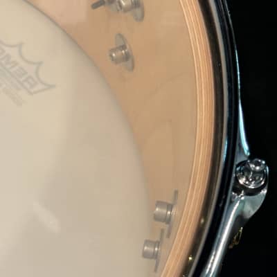 Premier One Series Snare Drum "The Thorpe Acre" 14"x5.5" - | Reverb