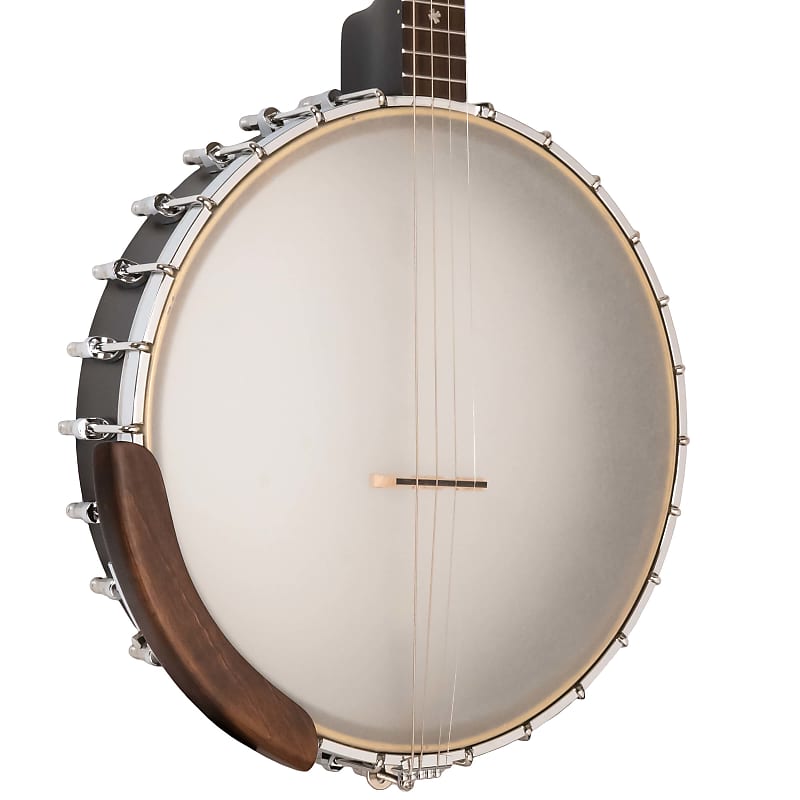 Left-handed IT-19: Irish Tenor Banjo with 19 Frets and | Reverb France