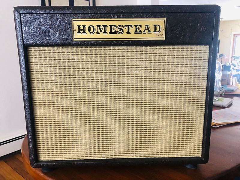 2021 Homestead BF25 25 Watt Guitar Amplifier Country Western | Reverb
