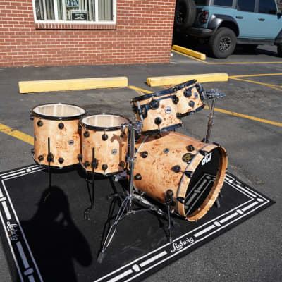 DW USA Collectors Exotic Series - Natural Exotic Mapa Burl | Reverb