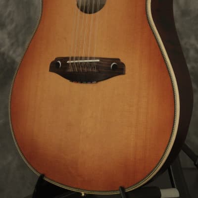 Hohner Eclipse ECA612 12-string acoustic electric guitar | Reverb