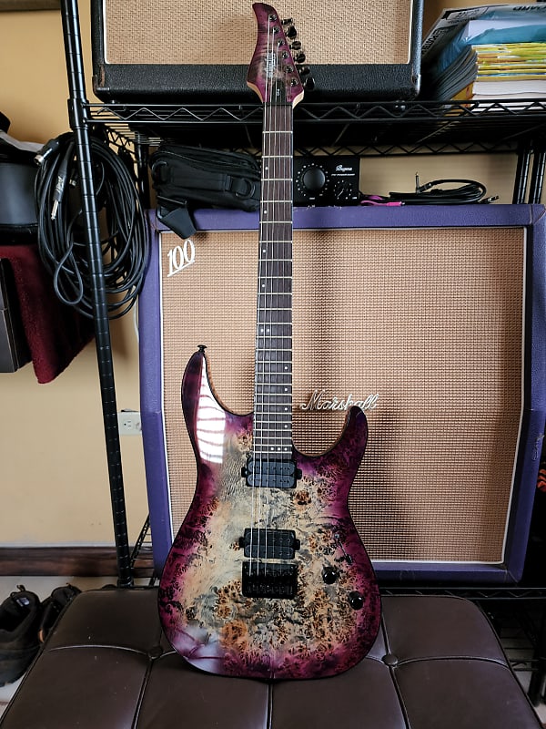 Schecter Guitar Research Limited Edition CR-6 Electric Guitar | Reverb