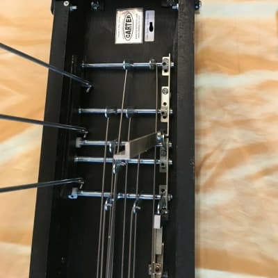 Carter Starter Black Burl 3X4 Pedal Steel Guitar w/Carry | Reverb