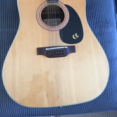 Vintage Aria 12 String Acoustic Guitar Japan 1976 | Reverb