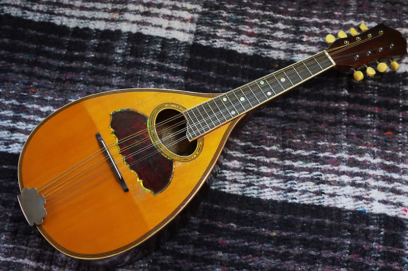 Wurlitzer flat-back mandolin - probably 1920s Larson Brothers | Reverb