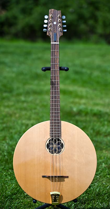 James Curtis Island Banjo-Zouki 2023 octave mandolin bouzouki | Reverb