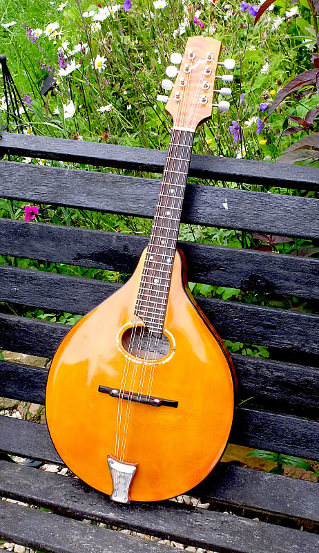 Superb "Old Wave" fully carved Mandolin. Bill Bussman, USA. | Reverb
