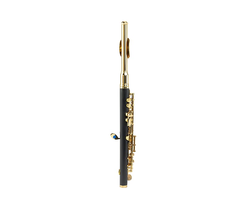 Wisemann DPL-300 2019 - gold plated piccolo, with wooden case | Reverb