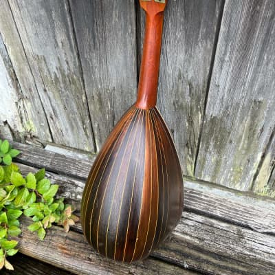 Lyon and Healy Italian Style Bowlback Mandolin Brazilian | Reverb