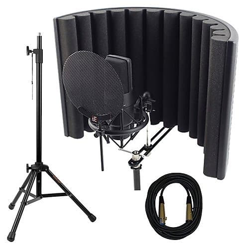 sE Electronics X1 S Complete Studio Bundle | Reverb