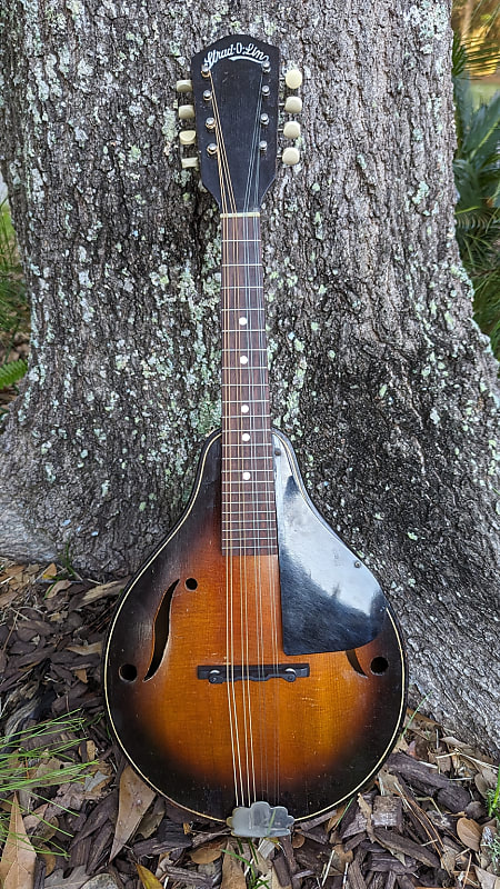 Stradolin Mandolin 1938 - Sunburst with New Frets | Reverb