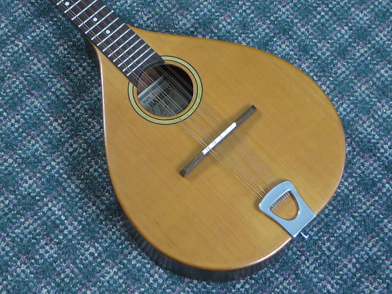 2021 Paul Hathway London, England 10-String Long-Scale | Reverb