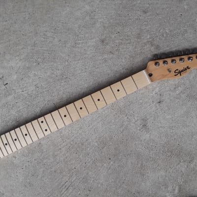 Fender Squier Esquire / Telecaster Maple Guitar Neck + Tuners | Reverb