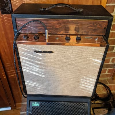 1967 Ampeg Reverbojet II Golden Glo Guitar Amplifier | Reverb