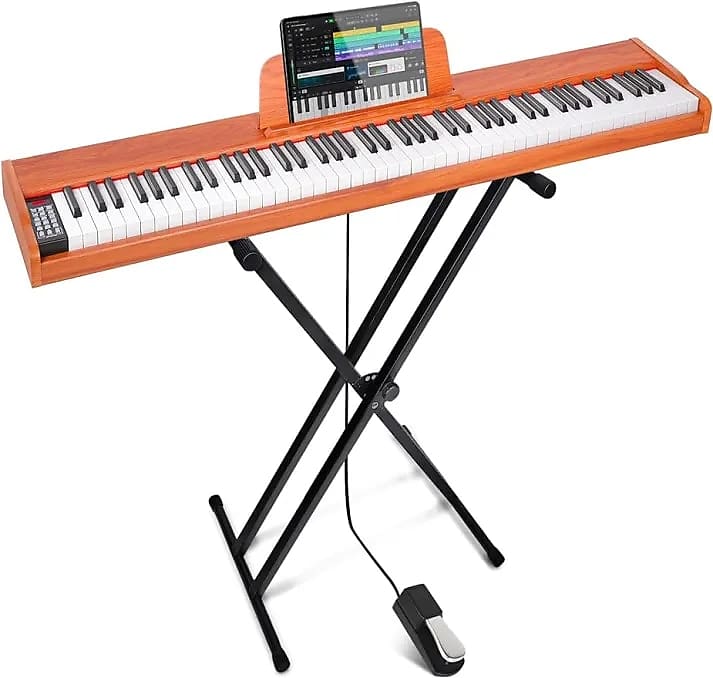 Fesley FEP300X Semi-weighted Piano Keyboard 88 Keys with | Reverb