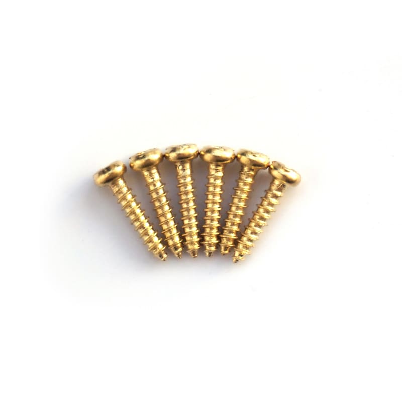 Machine Head / String Tree / Truss Rod Screws Gold x2 | Reverb UK