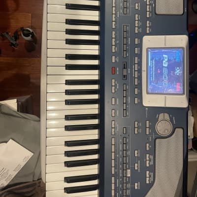 Korg PA800 61-Key Professional Arranger Keyboard 2000s - Blue | Reverb