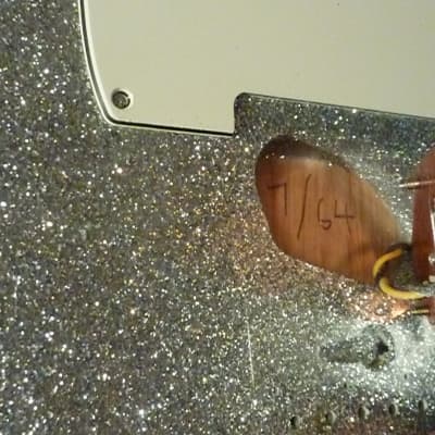 Telecaster Custom Silver Sparkle , Don Rich , Buck Owens | Reverb