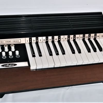 Magnus Model 350 Chord Organ 60's | Reverb