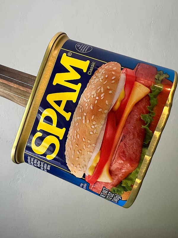 SPAMJO, 2 STRINGS! THE STRADIVARIUS OF STRING CAN | Reverb