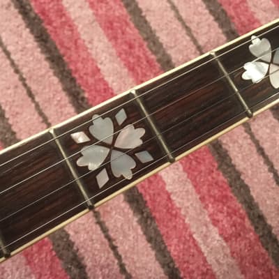 1970's Penco 5 String Banjo | Reverb