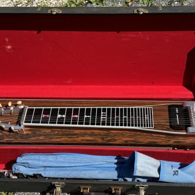 MSA Semi-Classic 10 String Pedal Steel Guitar W/OHSC Rosewood | Reverb