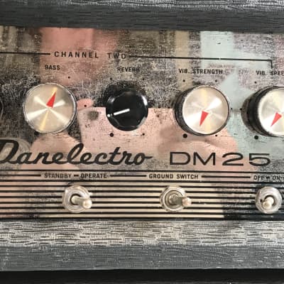 1960's Danelectro DM-25 Amp | Reverb
