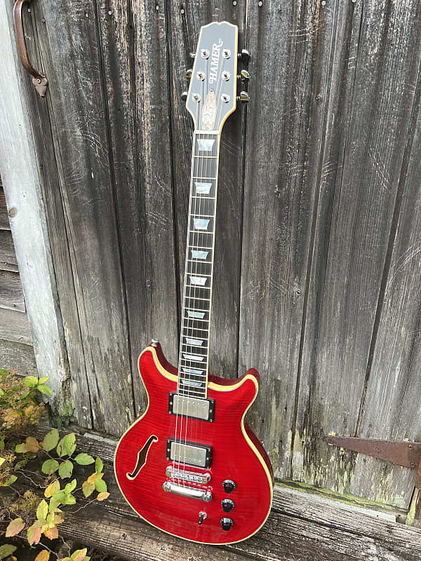 Rare Hamer Artist Sterling Silver Edition 25th Anniversary | Reverb