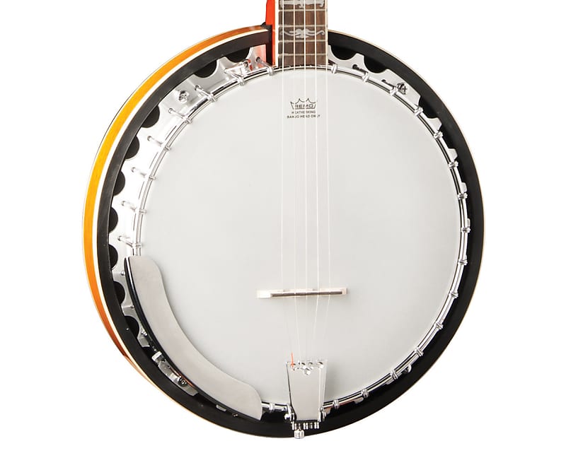 Washburn Americana Series B10-A 5-String Banjo. Gloss | Reverb