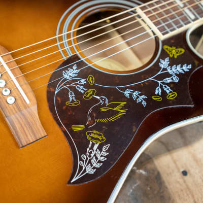 Epiphone Limited Edition Hummingbird Performer Pro / TS | Reverb