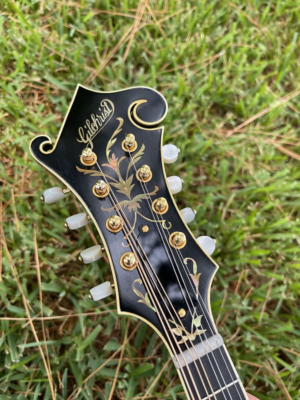 Gilchrist Model 5 2001 - Varnish | Reverb