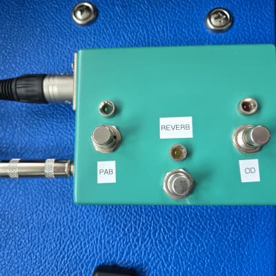 Dumble Clone ODS Overdrive Special 2012 Custom Build | Reverb