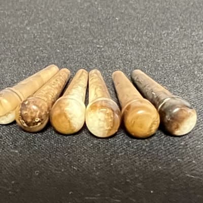 Bob Colosi - Fossilized Walrus Ivory - 5 Degree - .223″ - | Reverb