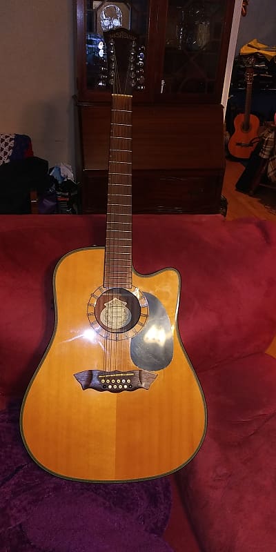 Washburn 12 string | Reverb