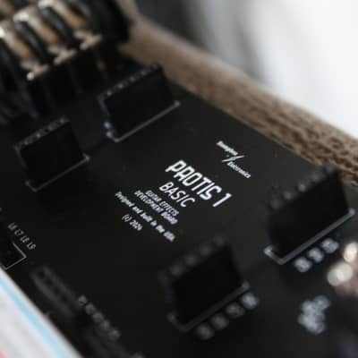 PROTIS 1 BASIC Guitar Effects Development Board | Reverb