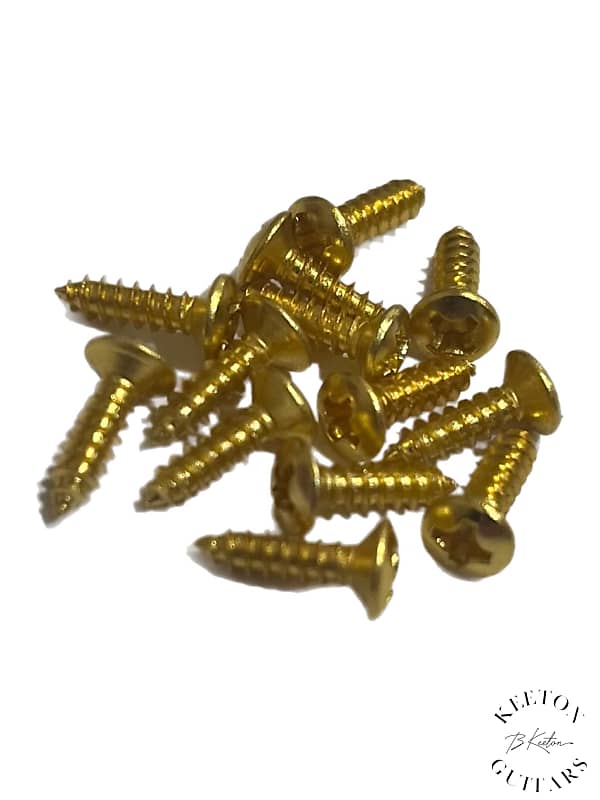 Set of 13 Gold Pickguard Backplate Screws For Fender | Reverb