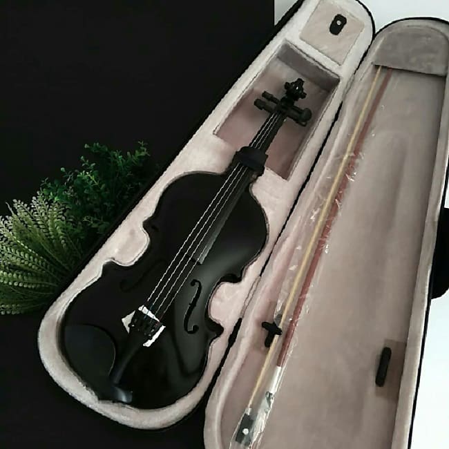 4/4 Full Size Violin with Case, Black | Reverb