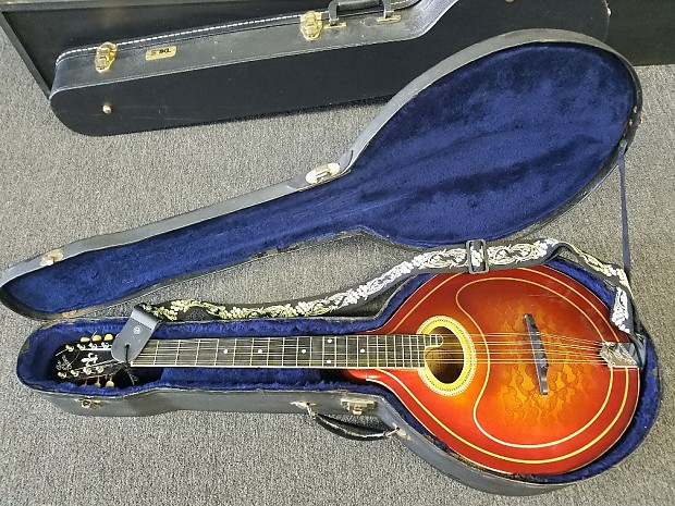 The Gibson K-2 Mandocello 1906-1920 Antique Lace Gold | Reverb