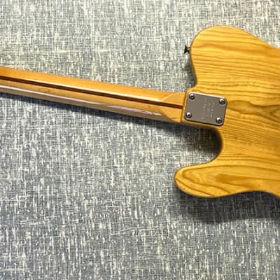 Greco Spacey Sounds Telecaster Thinline - 1975 | Reverb