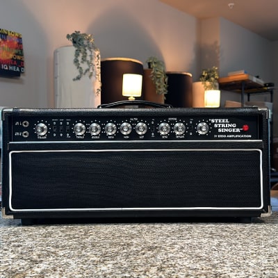 2023 Amplified Nation Steel String Singer 1x12" Combo | Reverb