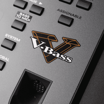 Roland VB-99 V-Bass System | Reverb