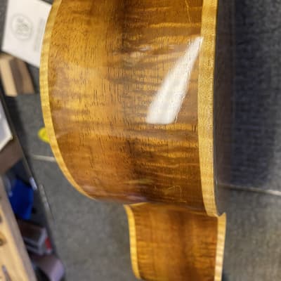 Rebuilt UPS modified Kanilea GL6 2021 | Reverb