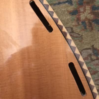 10 string Algerian Mondol Mandole Mandocello used | Reverb