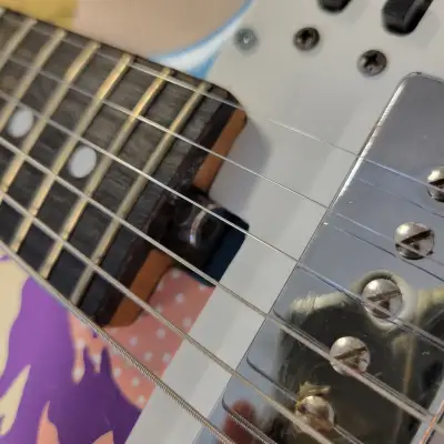 Harmony H802 Custom Paint | Reverb