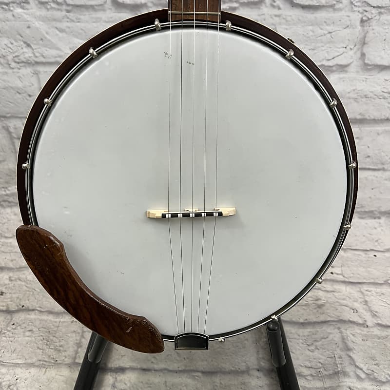 Telestar 5 String Tenor Banjo Project with Case | Reverb